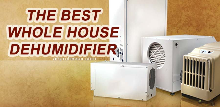 Best Whole House Dehumidifier Reviews, Top Picks & Ratings
