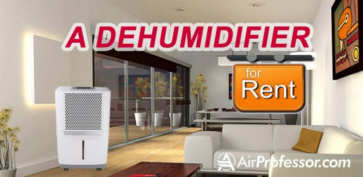 What Is The Best Dehumidifier For Basement? [13 Reviewed]
