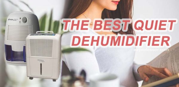 What Is The Best Battery Operated Dehumidifier? [9 Reviewed]